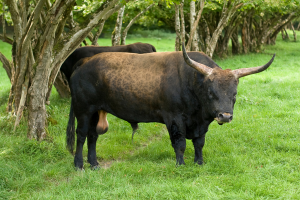 1_grande.png?v=1629628637